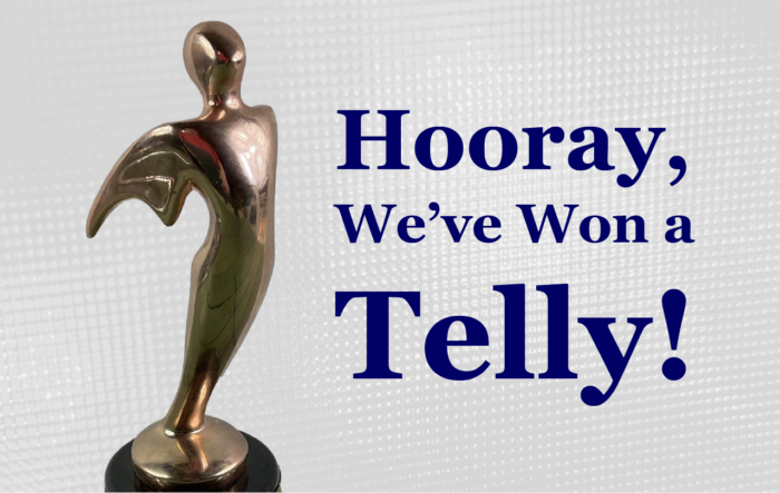 ‘How to Really See and Be Seen’ Won a 2024 Telly Award!